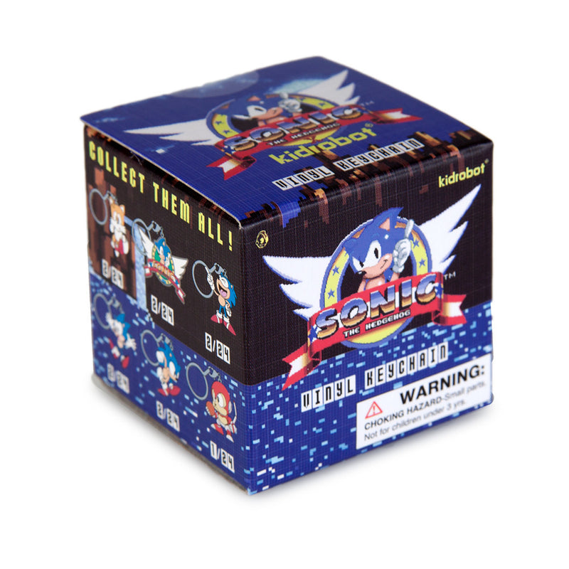 Sonic The Hedgehog Keychain Series Blind Box by Kidrobot - Mindzai